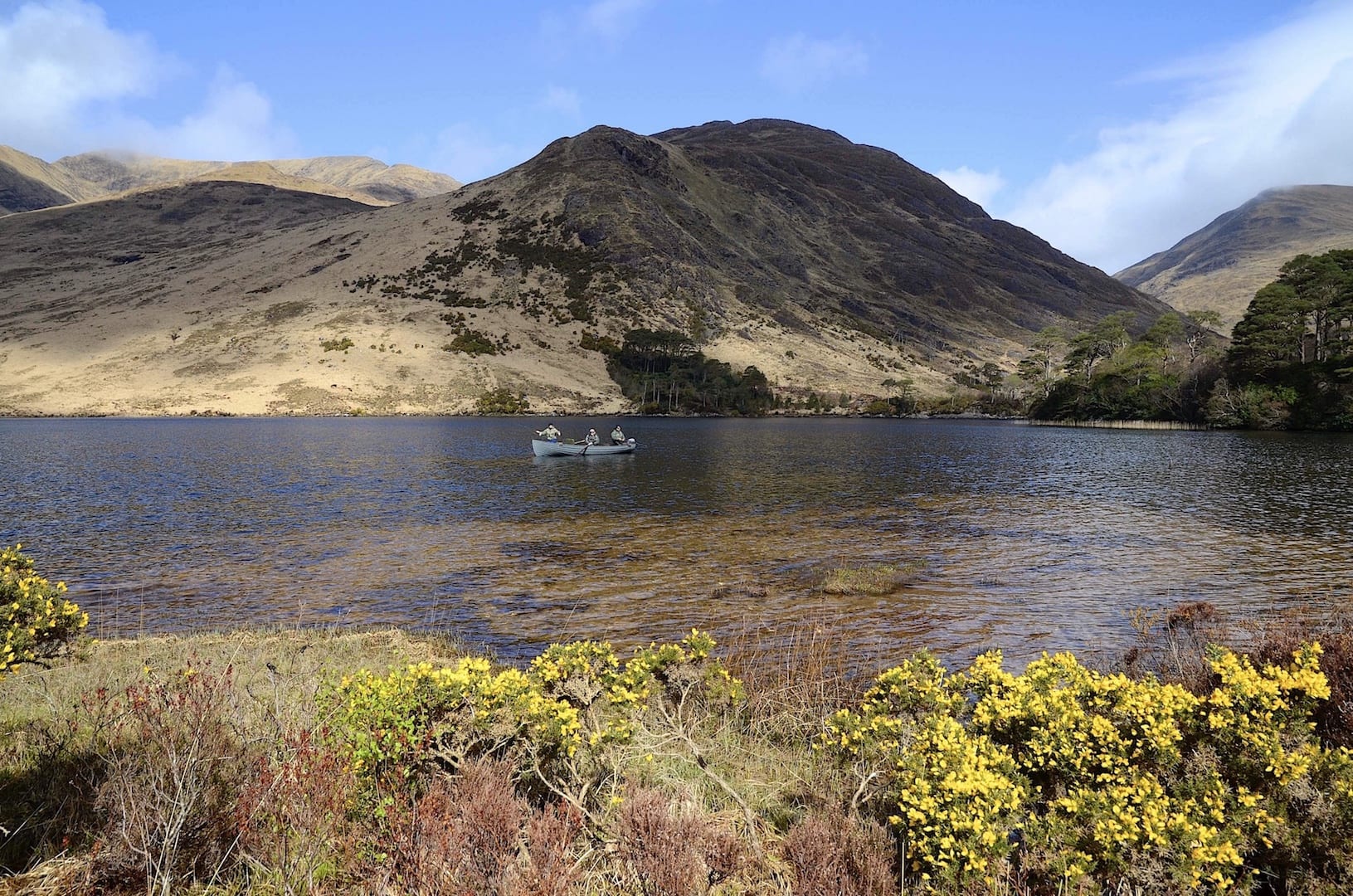 Delphi Lodge - Salmon Oracle of Ireland - Fly Fishing