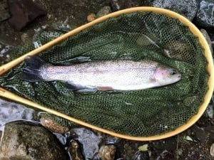Seeking Native Trout in Japan - Fly Fishing | The Wading List