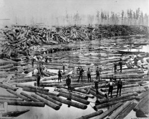 Will Arctic Grayling Return to Michigan? - The Wading List