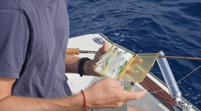 Best Saltwater Fly Rod - 2024 Buyer's Guide | The Wading List