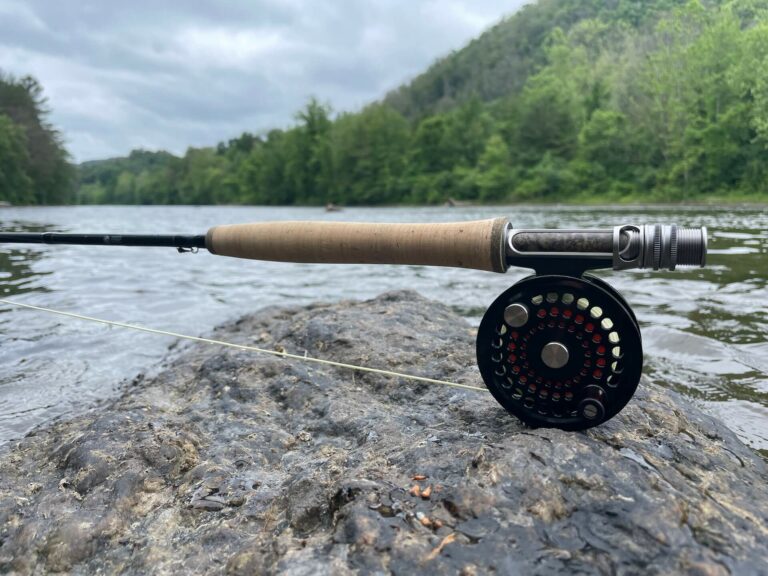 Best Trout Fly Rod - Ultimate Buyer's Guide 2025 | The Wading List