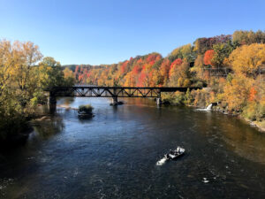 Ultimate Guide to Fly Fishing Michigan | The Wading List