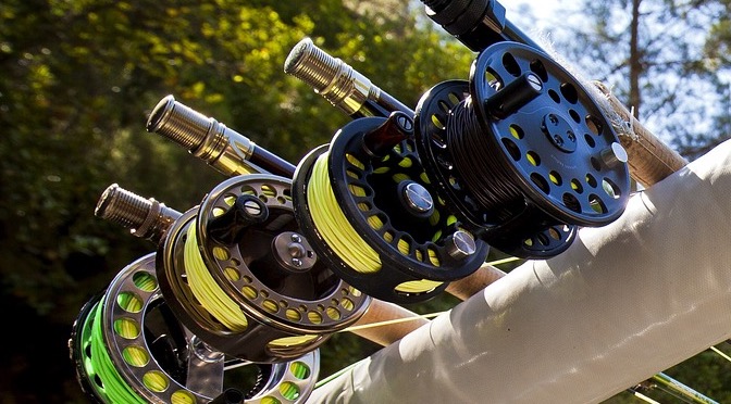 Best Beginner Fly Rods of 2025 | The Wading List