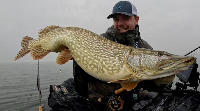 Unlock the Secrets of Fly Fishing for Pike! - The Wading List