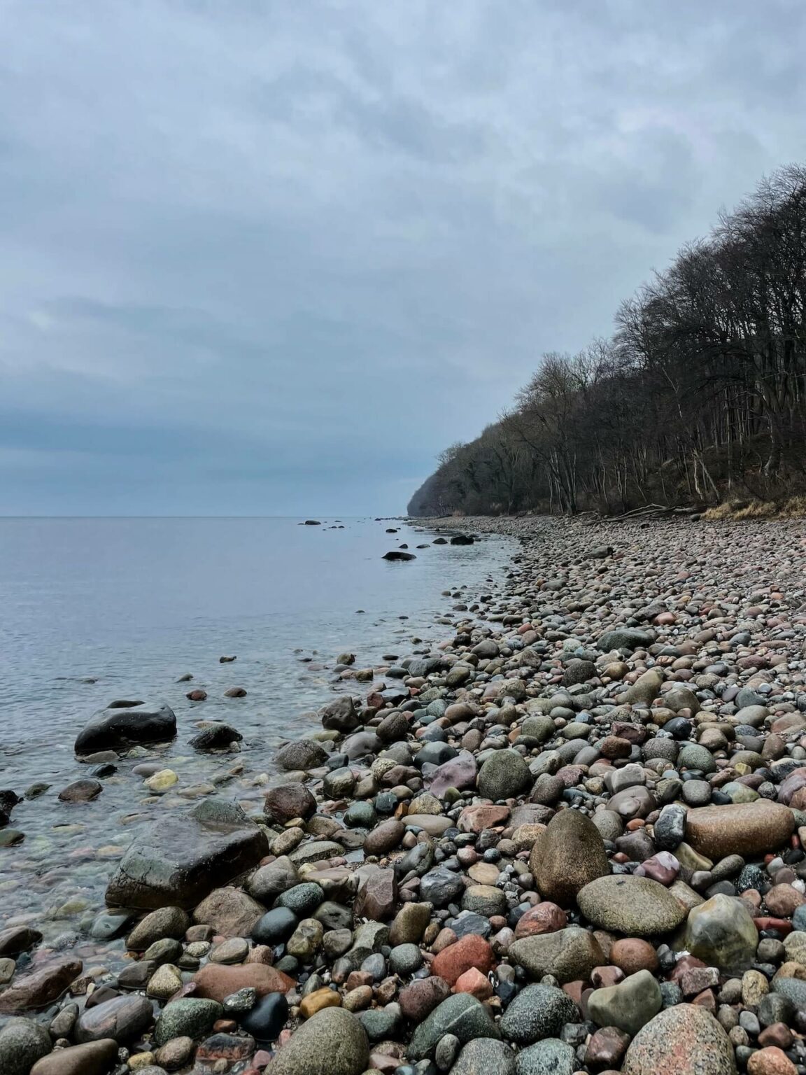 Fly Fishing for Sea Trout: Persistence Pays Off - The Wading List