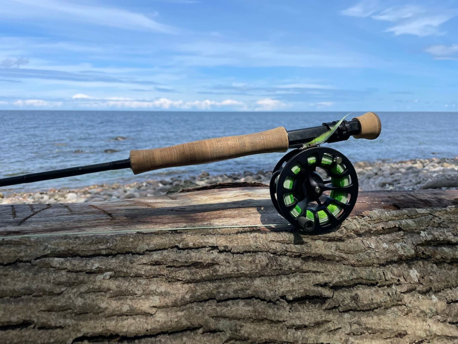 Best Fly Reel for Trout - Top Picks for 2025 (Tested) | The Wading List