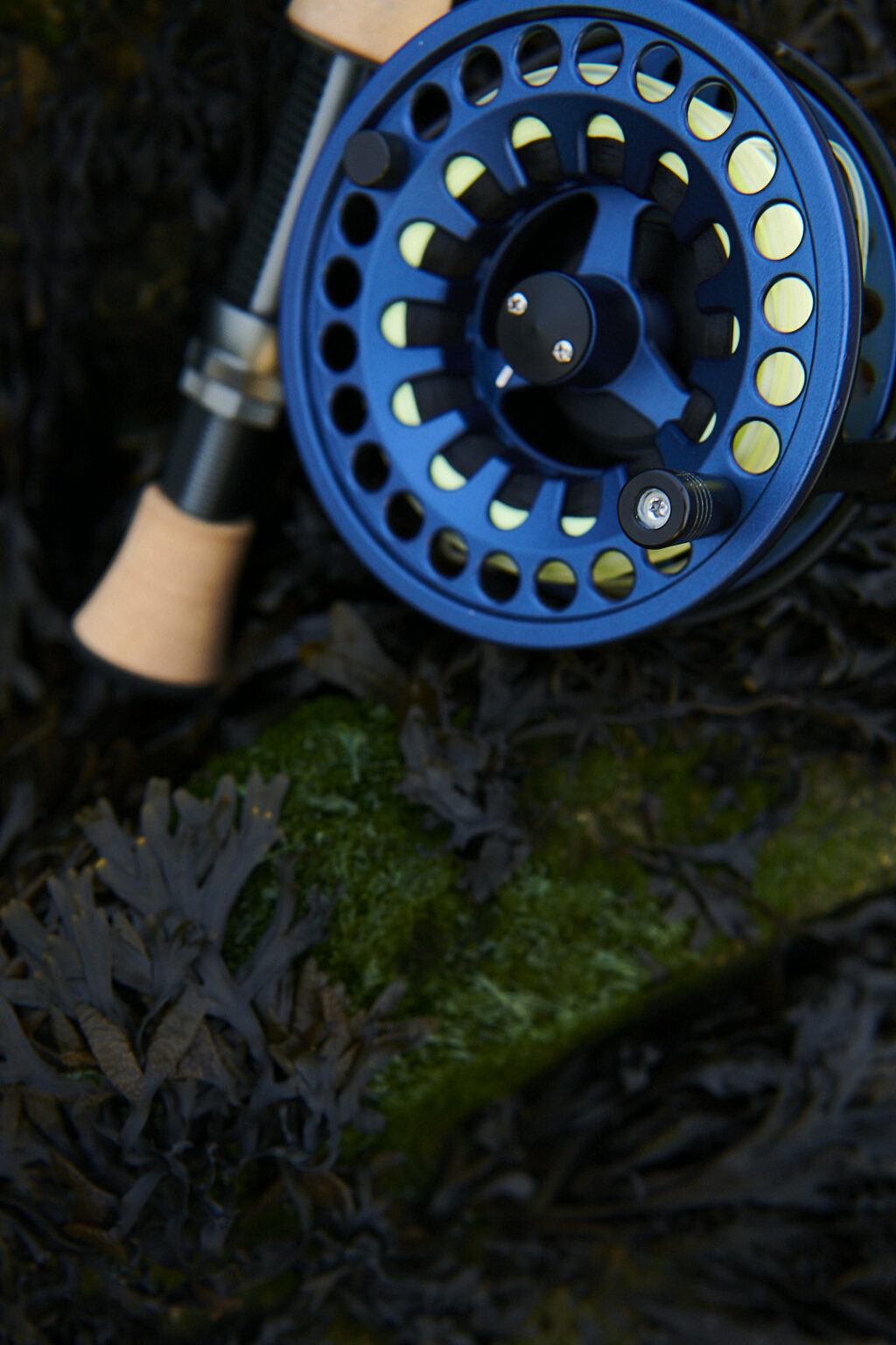 On the Water: Cheeky Sighter Fly Reel Review | The Wading List